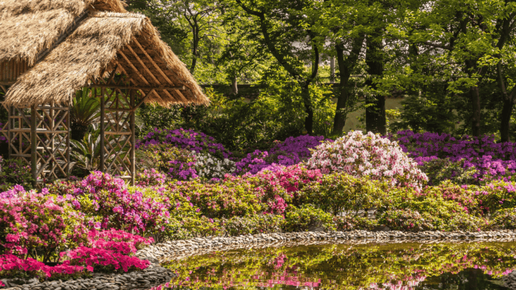 Spring in China: 18 Prettiest Locations You Absolutely Can't Miss in 2026