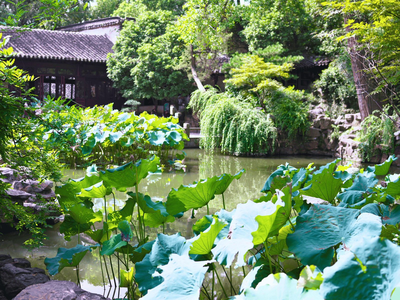Best Things to Do in Suzhou: 3-Day Itinerary For First-Timers in 2026