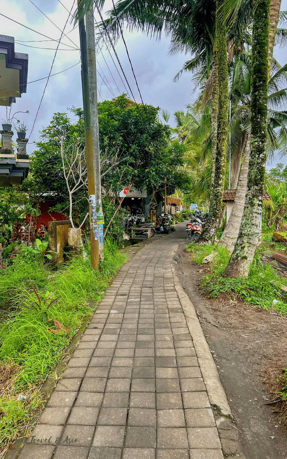 Ubud Rice Field Walks: Guide To the 5 Best Trails In 2026