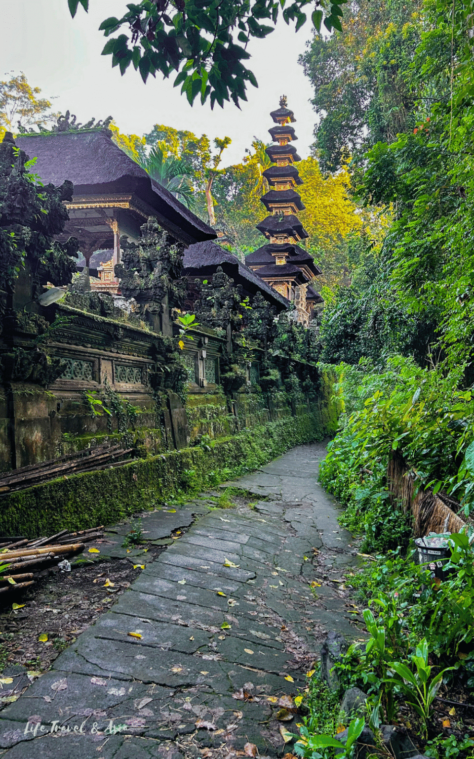 32 Unmissable Things to Do in Ubud: The Ultimate Local Guide