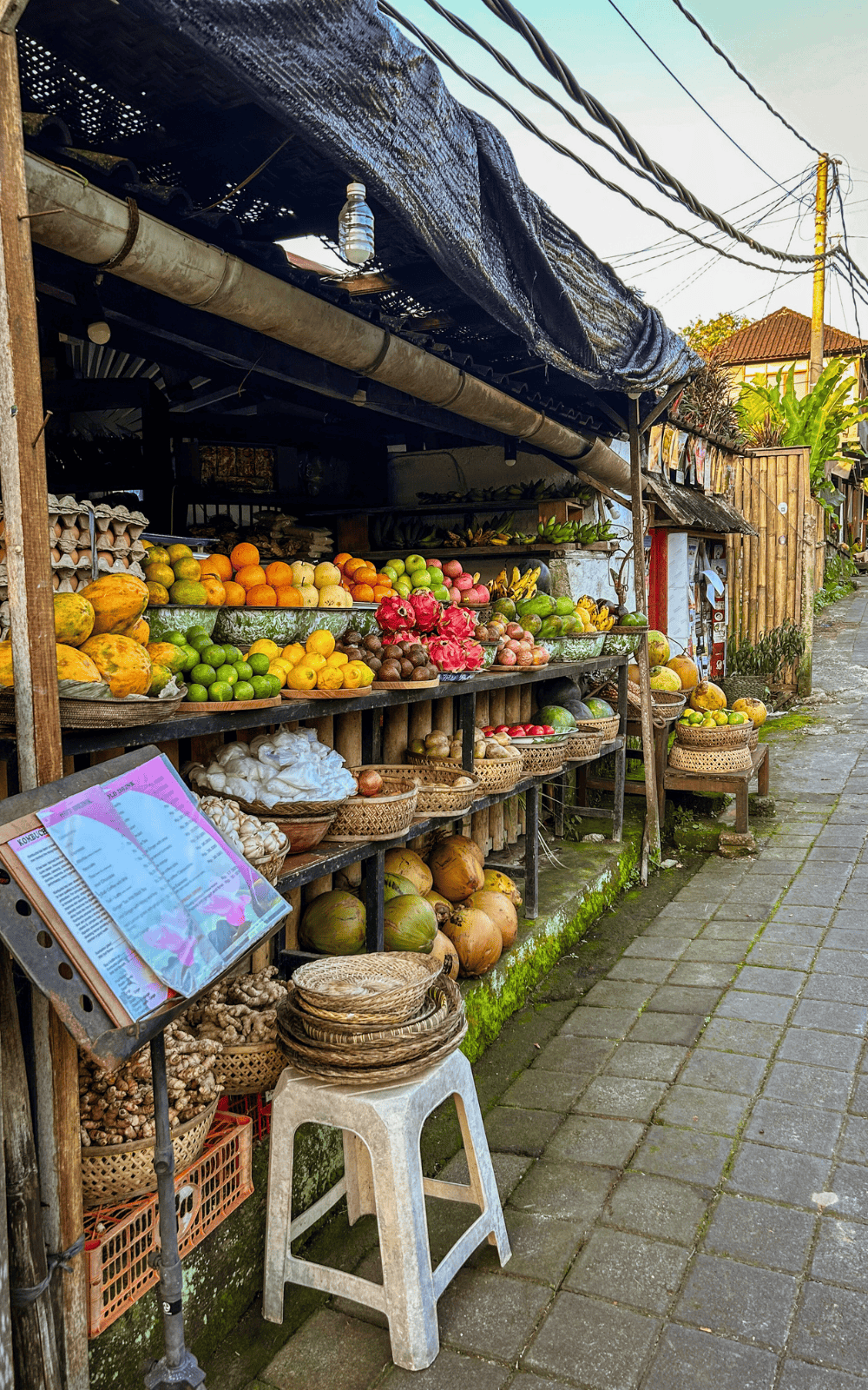 2026 Ubud Travel Guide: Things To Do, Where To Stay & Day Trips Ideas