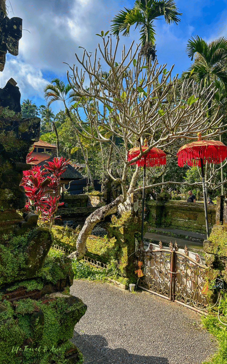 Gunung Kawi Sebatu Temple: A Bali's Sacred Site You Don't Expect