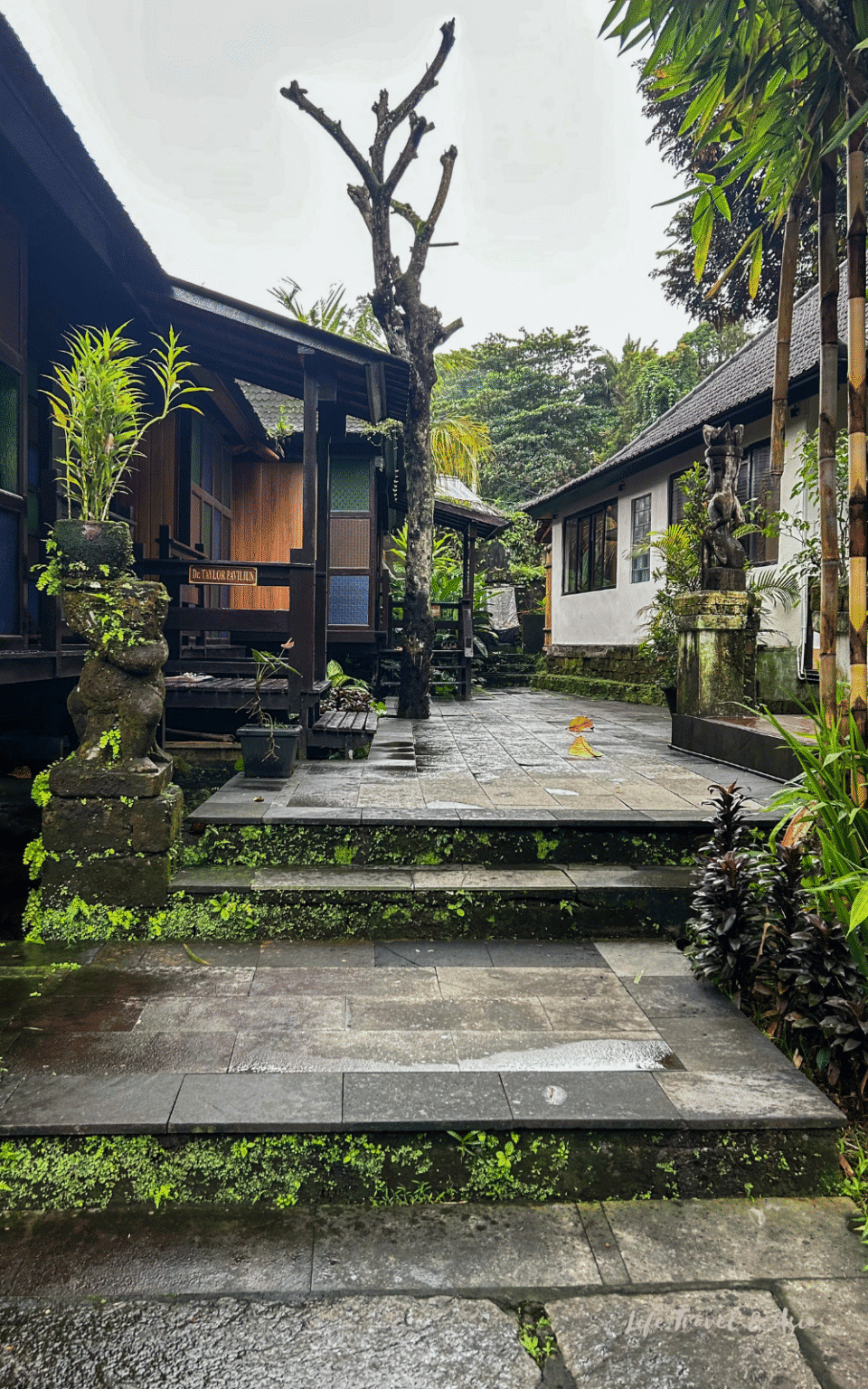 Best Affordable Spa in Ubud: Relaxing Treatments at Sari Health Resort