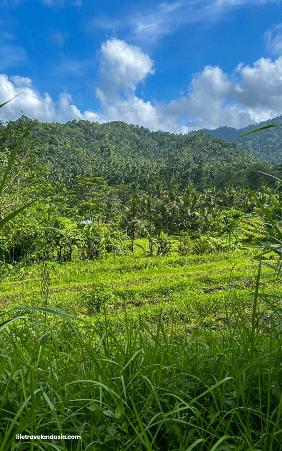 Guide to Gembleng Waterfall: Bali’s Natural Infinity Pool